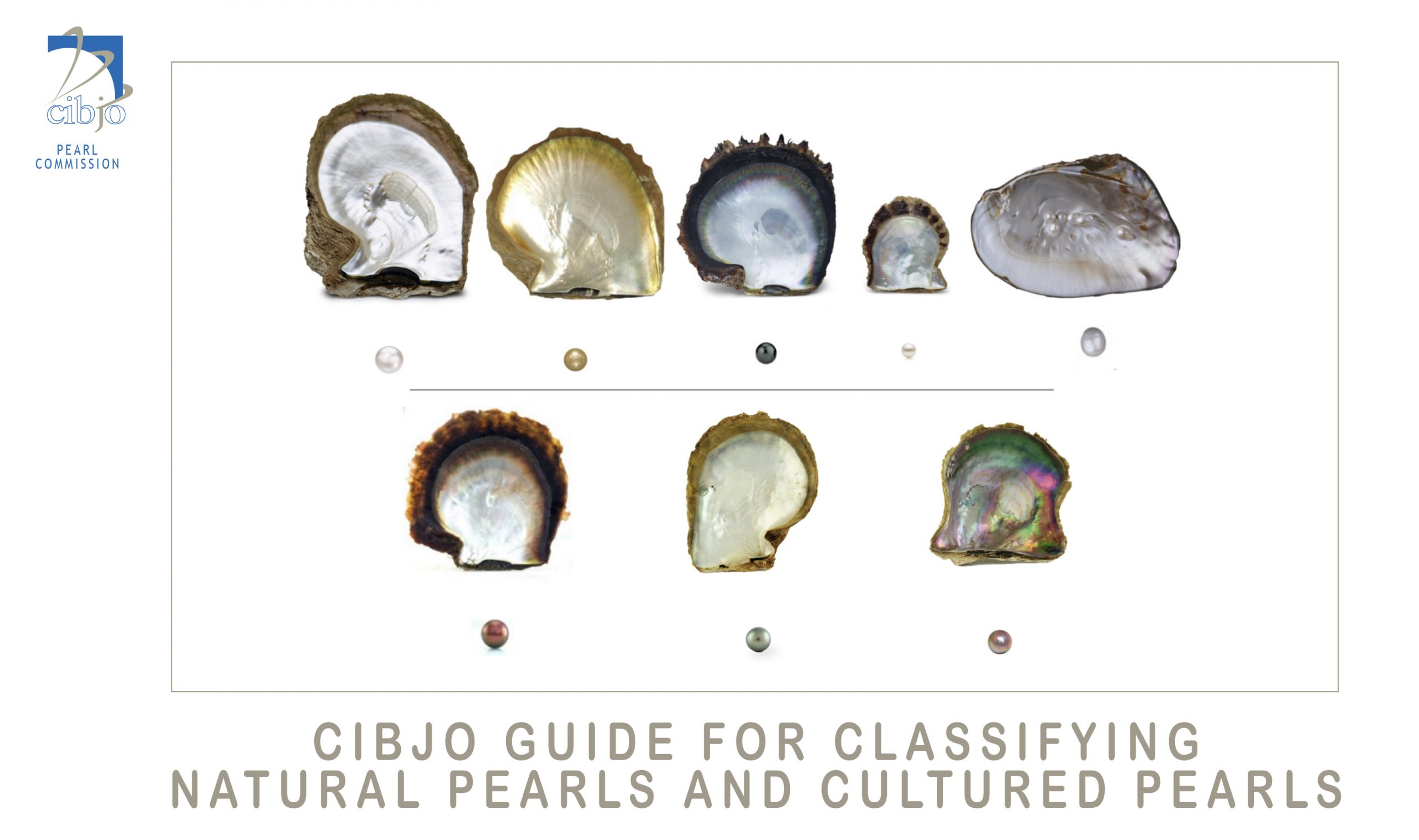 CIBJO Pearl Guide – CIBJO – The World Jewellery Confederation