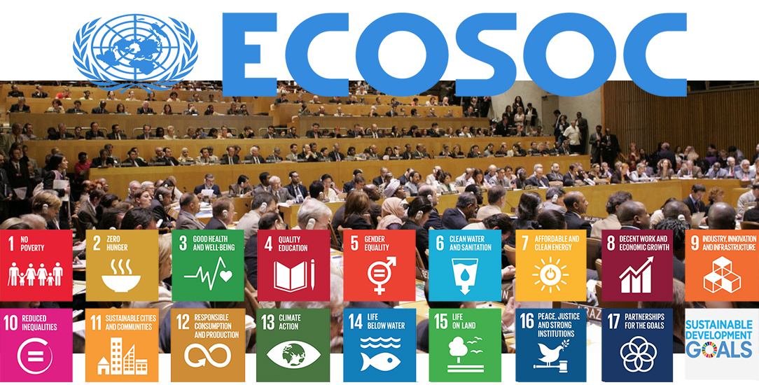 UN’s Economic and Social Council (ECOSOC) confirms CIBJO’s Special ...